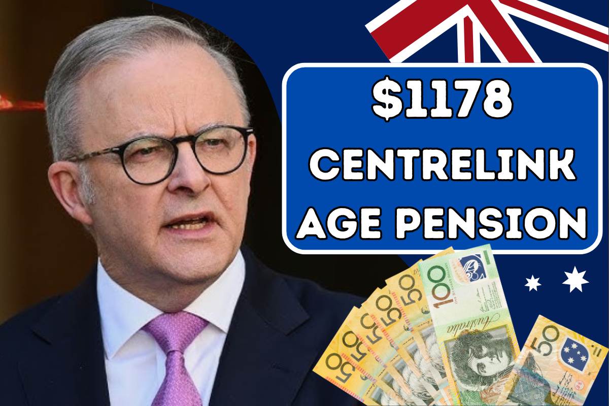 $1178 Centrelink Age Pension November 2026- Check Payout Dates