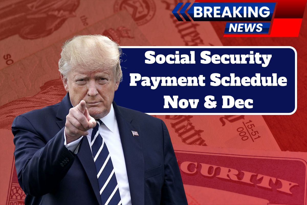 Social Security Payment Schedule November & December 2026 - For SSI ...